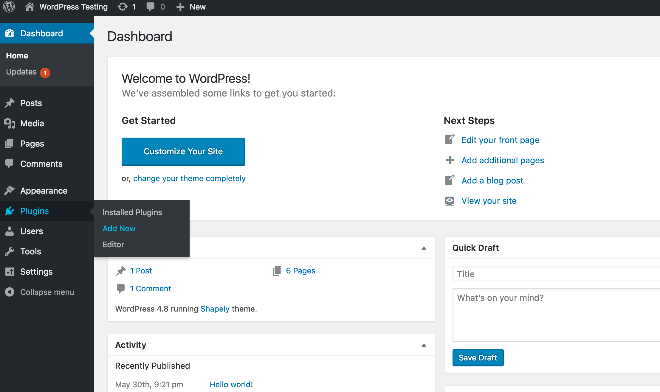 Installing WordPress Plugins Name